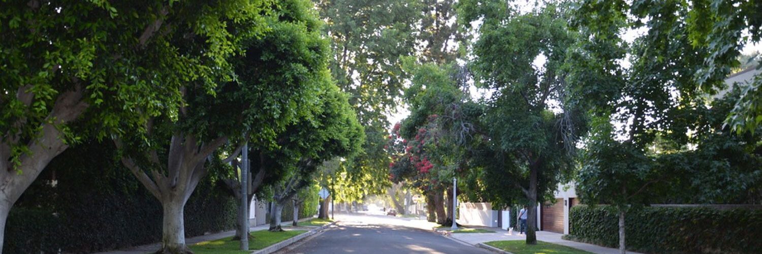 Spaulding Square Neighborhood Association